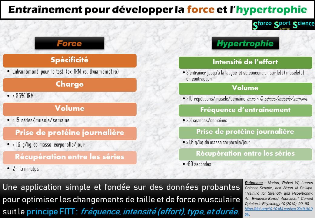 Evidences scientifiques actuelles (2019) pour le développement de la Force et de l’Hypertrophie ...